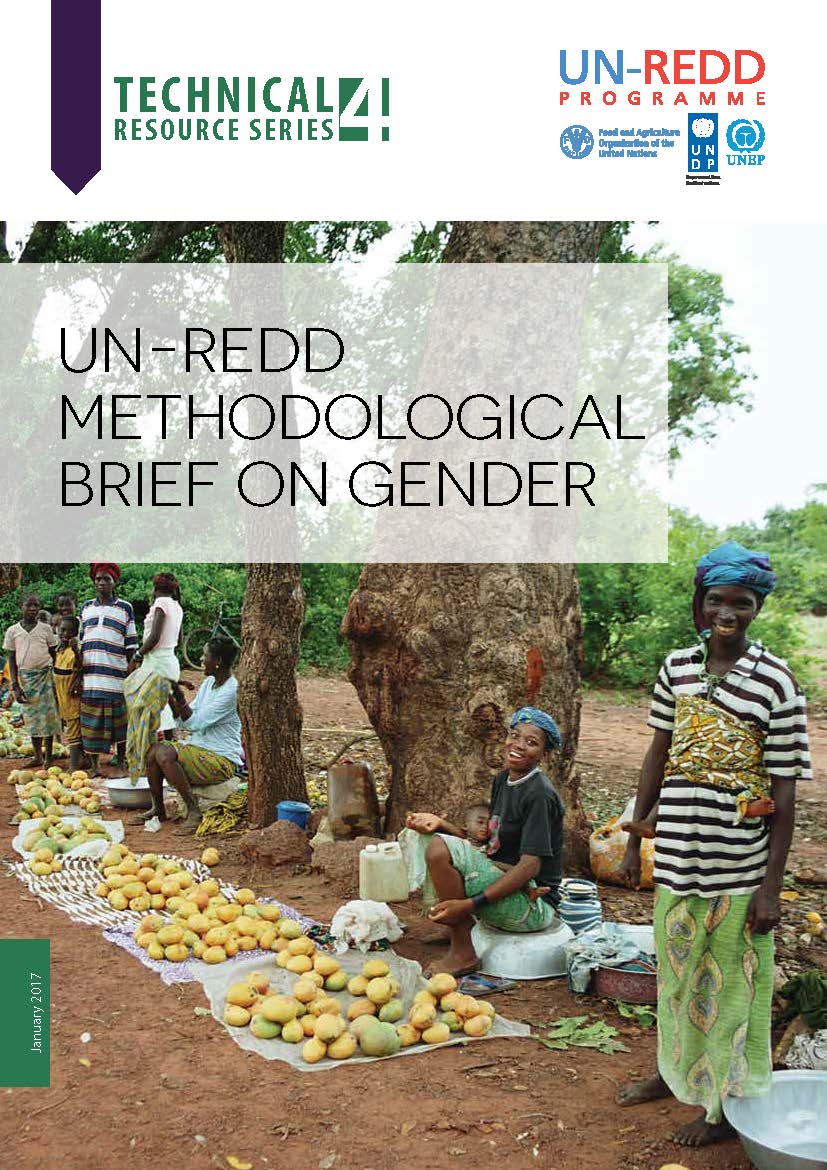 Info Brief Methodological Brief On Gender Climate And Forests 4671